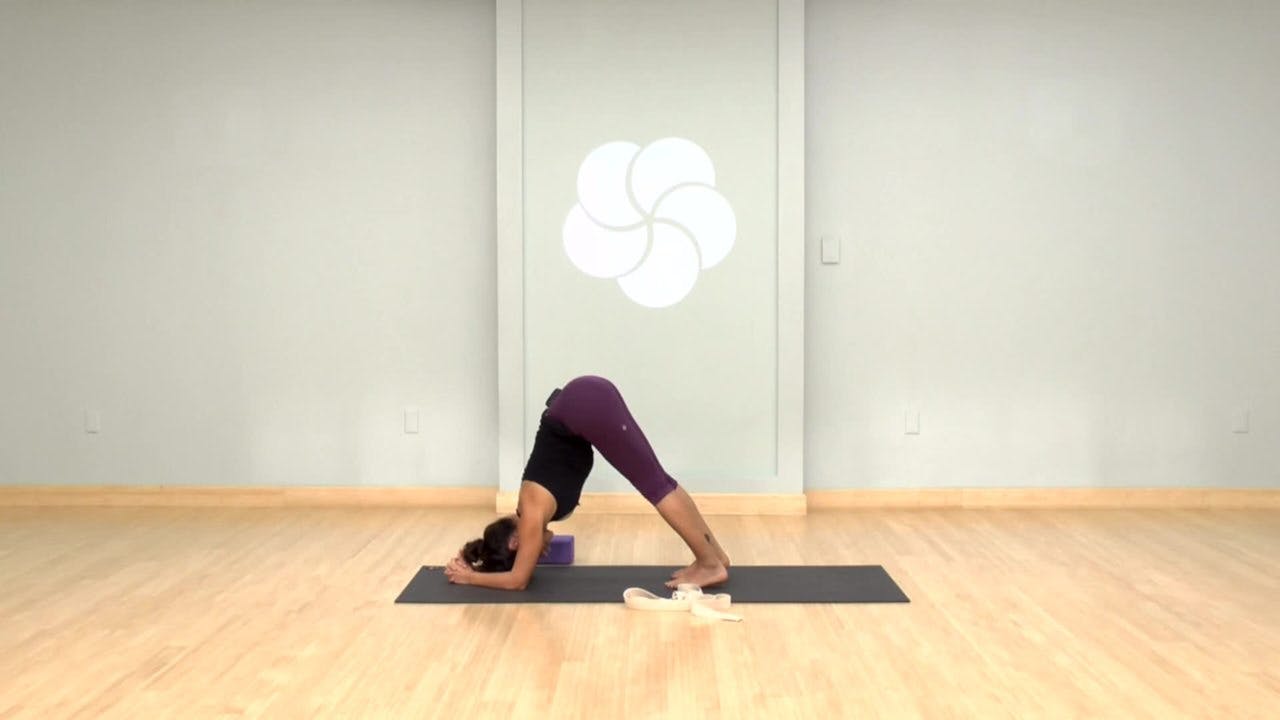 5 minute Dolphin to Headstand Prep - YogaWorks