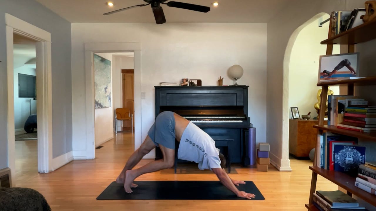 30 min All Levels Vinyasa w/ Vytas - Easy Friday Stretches 3/8/24 ...