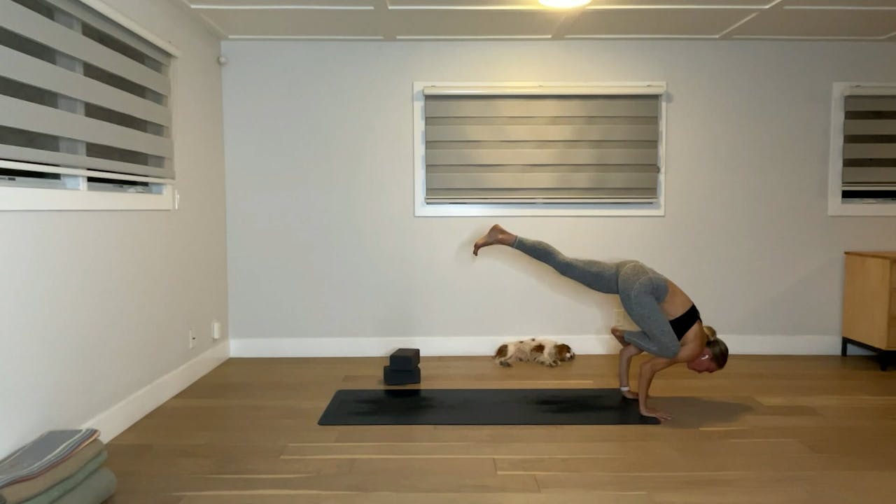 60 min Vinyasa Flow 2-3 w/ Maya - 12/26/24 - YogaWorks