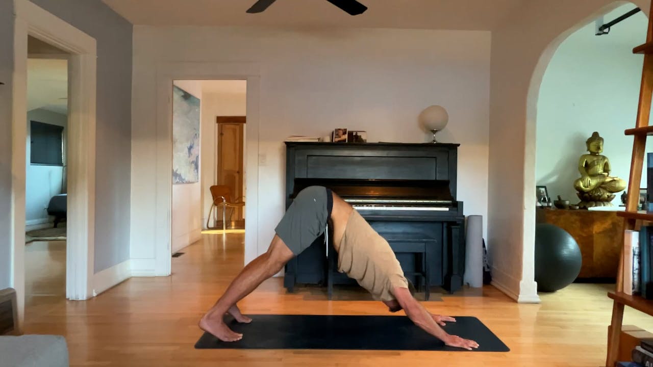 30 min Slow and Strong Foundational Poses w/ Vytas - Vol 1 - YogaWorks