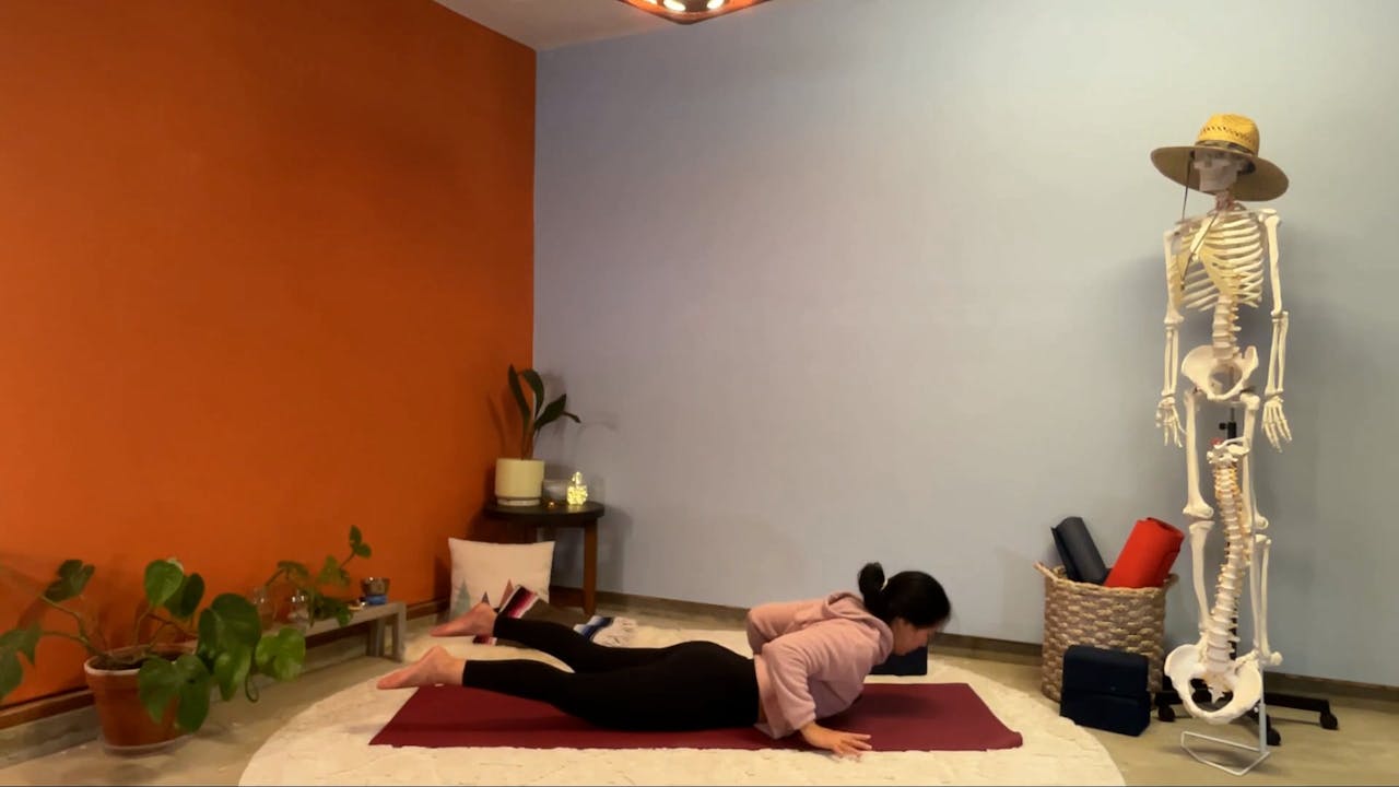 45 min Hatha Yoga 1-2 w/ Elena - Low Back Strength 11/3/23 - YogaWorks
