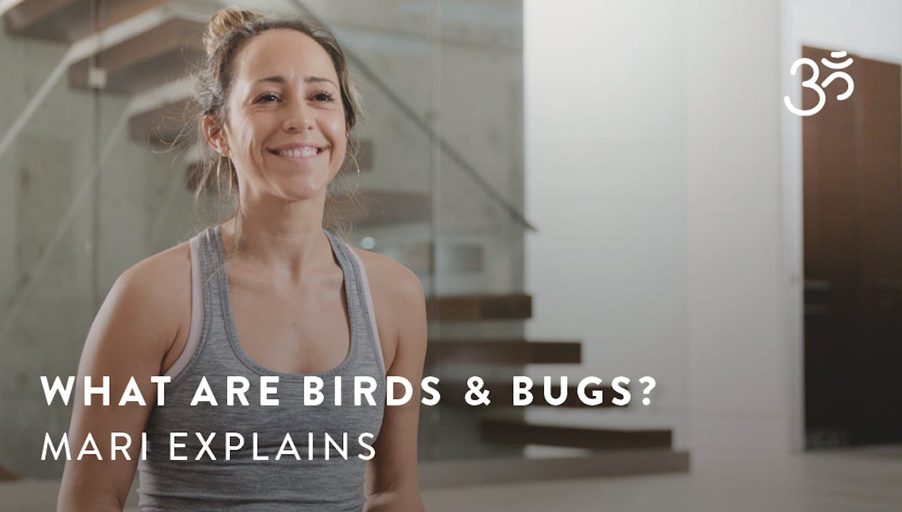 What are birds and bugs? Mari Dickey explains. - Mari Dickey - YYOGA at ...