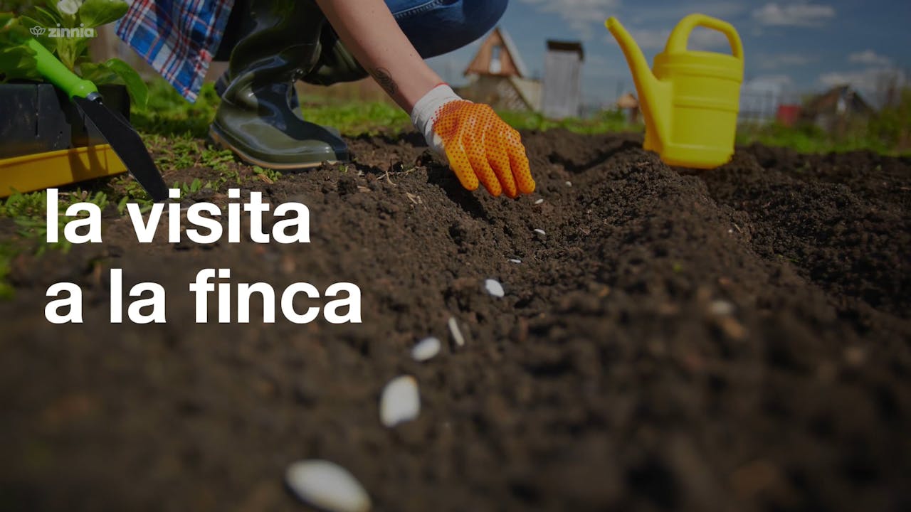 La Visita a la Finca - Farm Visit - Zinnia