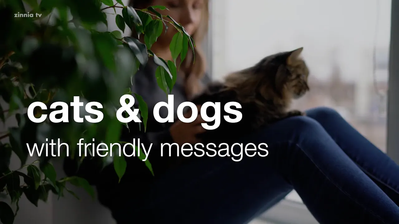 Cats & Dogs with Friendly Messages - Zinnia